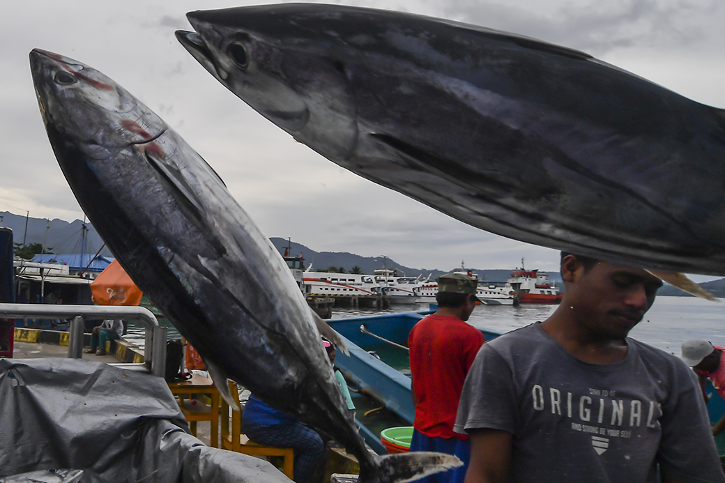 Pemerintah Tingkatkan Pemasaran Produk Laut-Perikanan Domestik ...