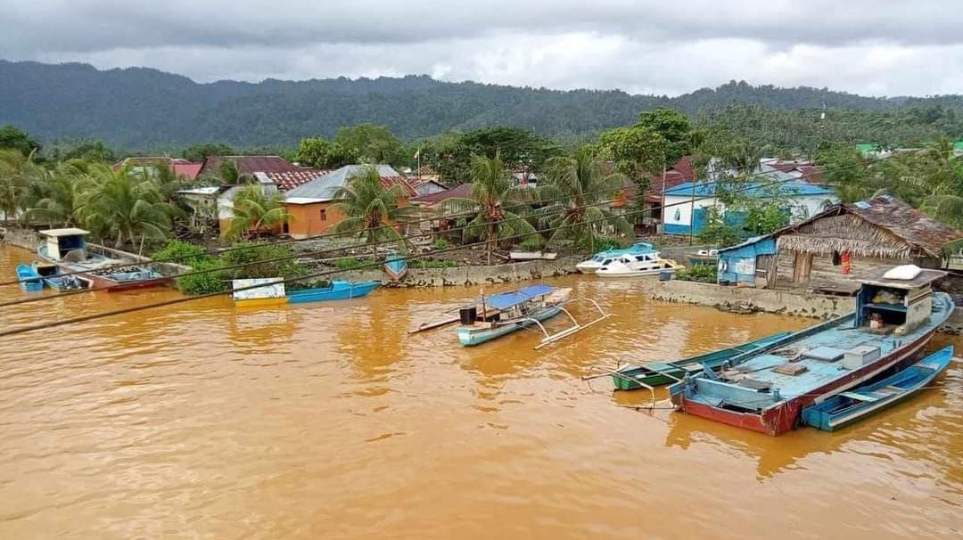 5 Tahun PT IWIP dan Kerusakan Lingkungan di Teluk Weda, Halmahera ...