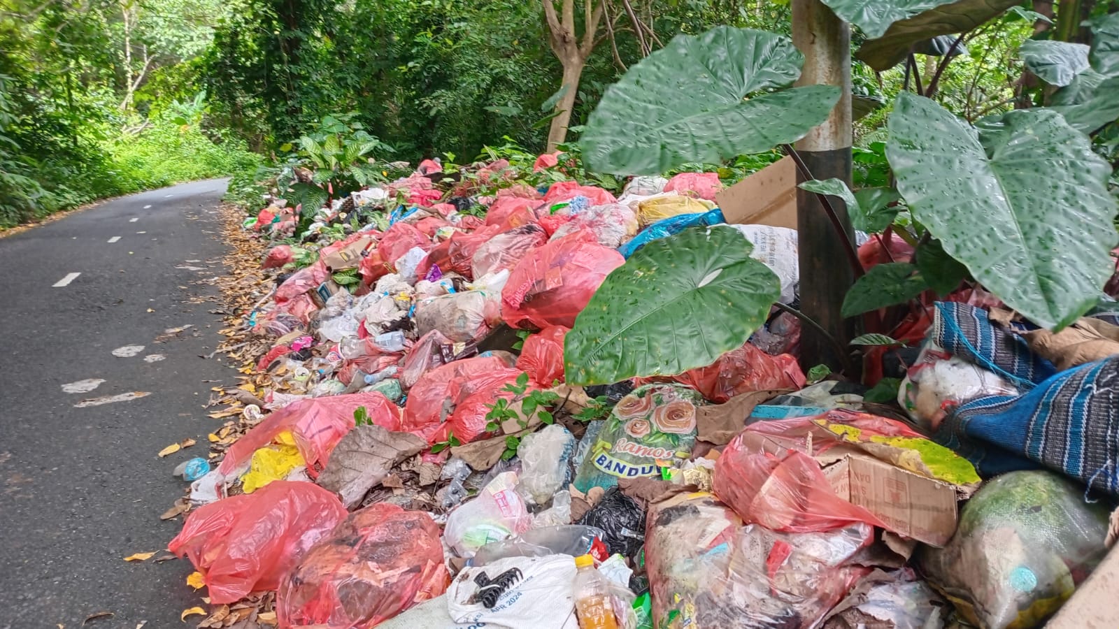 Warga 7 Dusun Berharap Pemkot Ambon Sediakan Bak Sampah di Air Ali ...