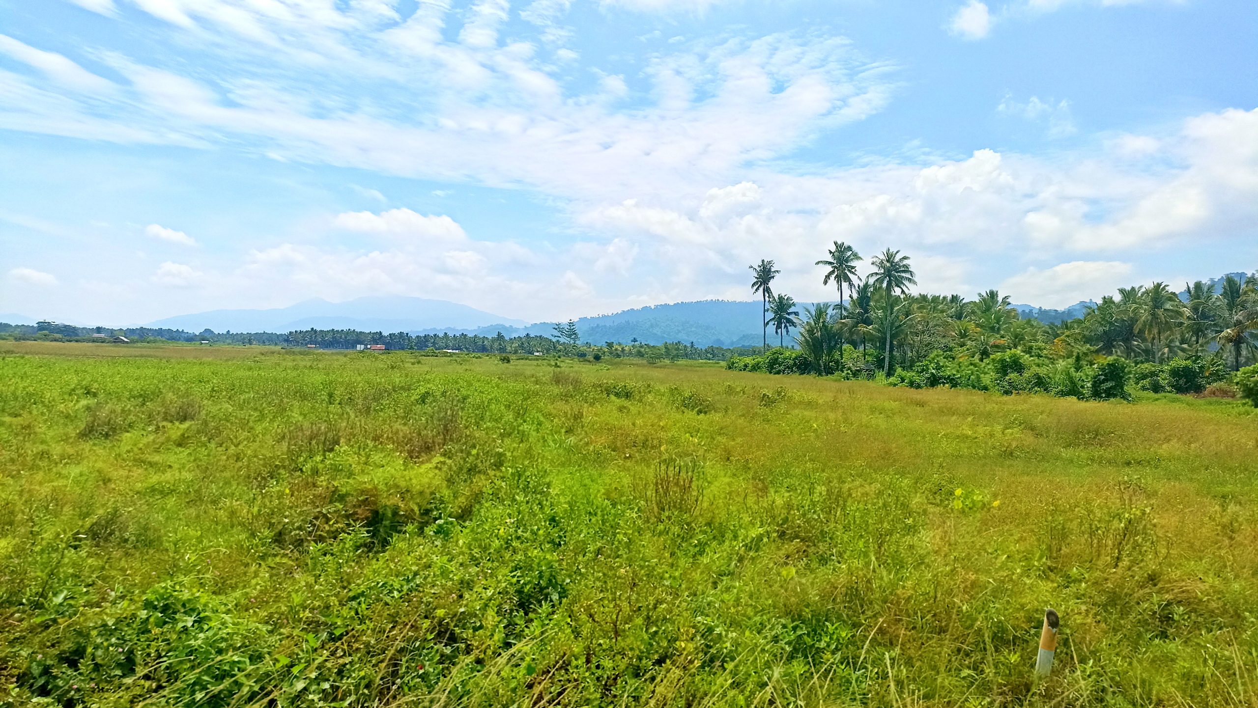 Subaim, Lumbung yang Runtuh Saat Sawah Mengering oleh Tambang ...